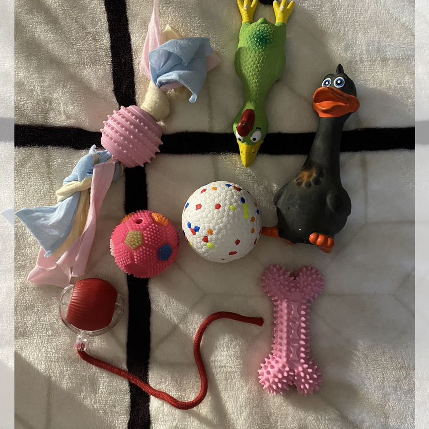 Игрушки для собак