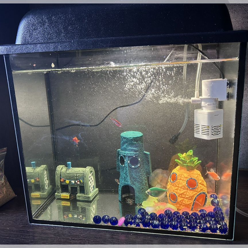 Аквариум с рыбками