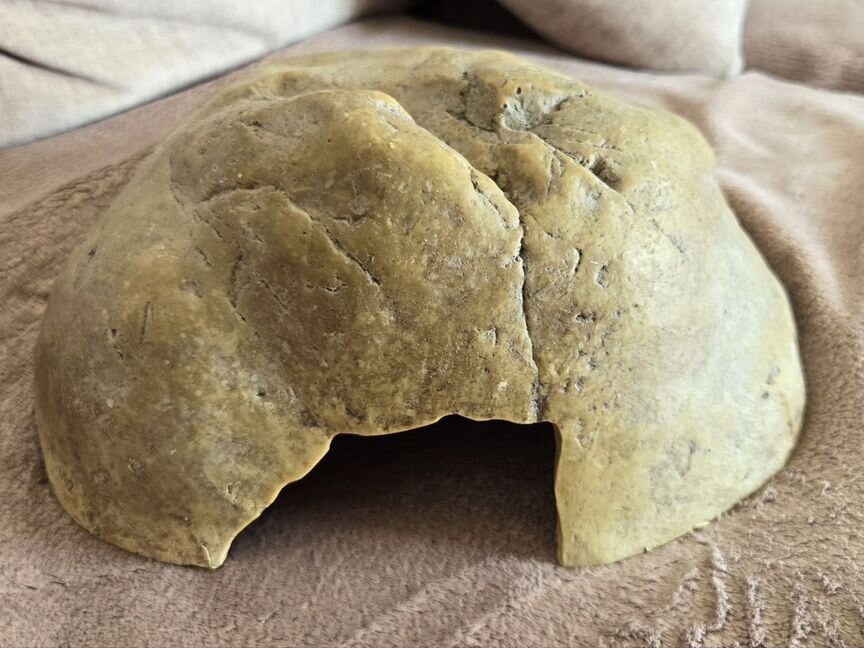 Укрытие - грот для террариума