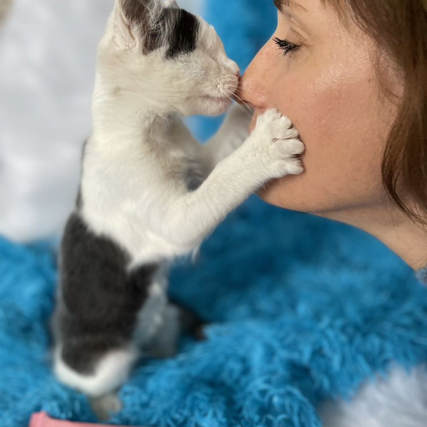 Принеси счастье в дом