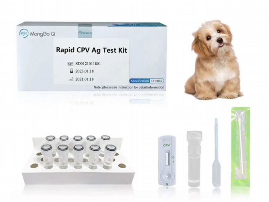 Новый набор для тестирования на Парвовирус