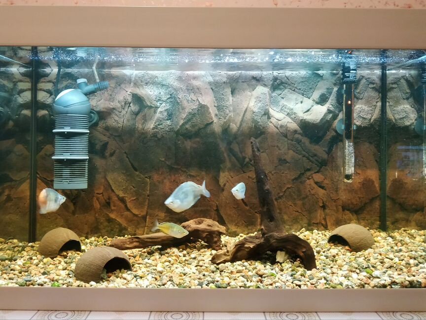 Аквариум Eheim vivaline 125 литров