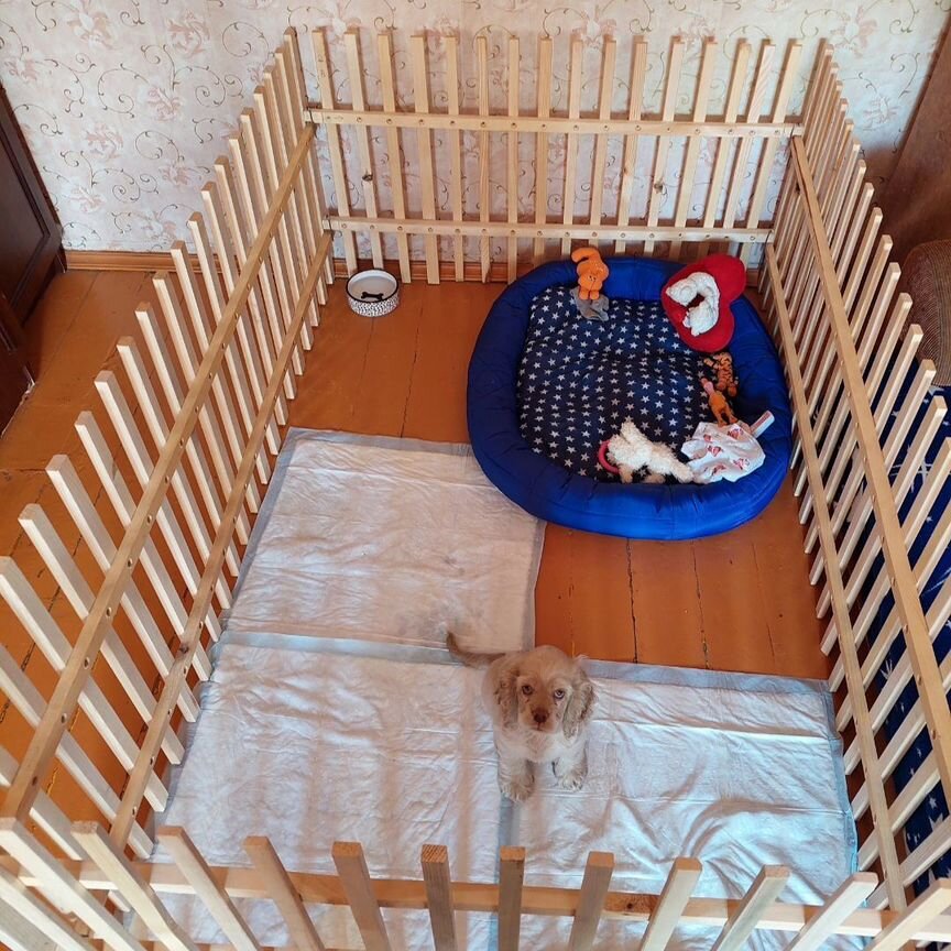 Вольер домашний