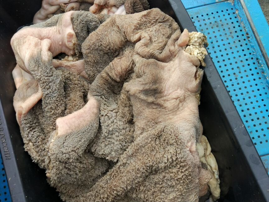 Рубец говяжий натуральный корм мясо для собак