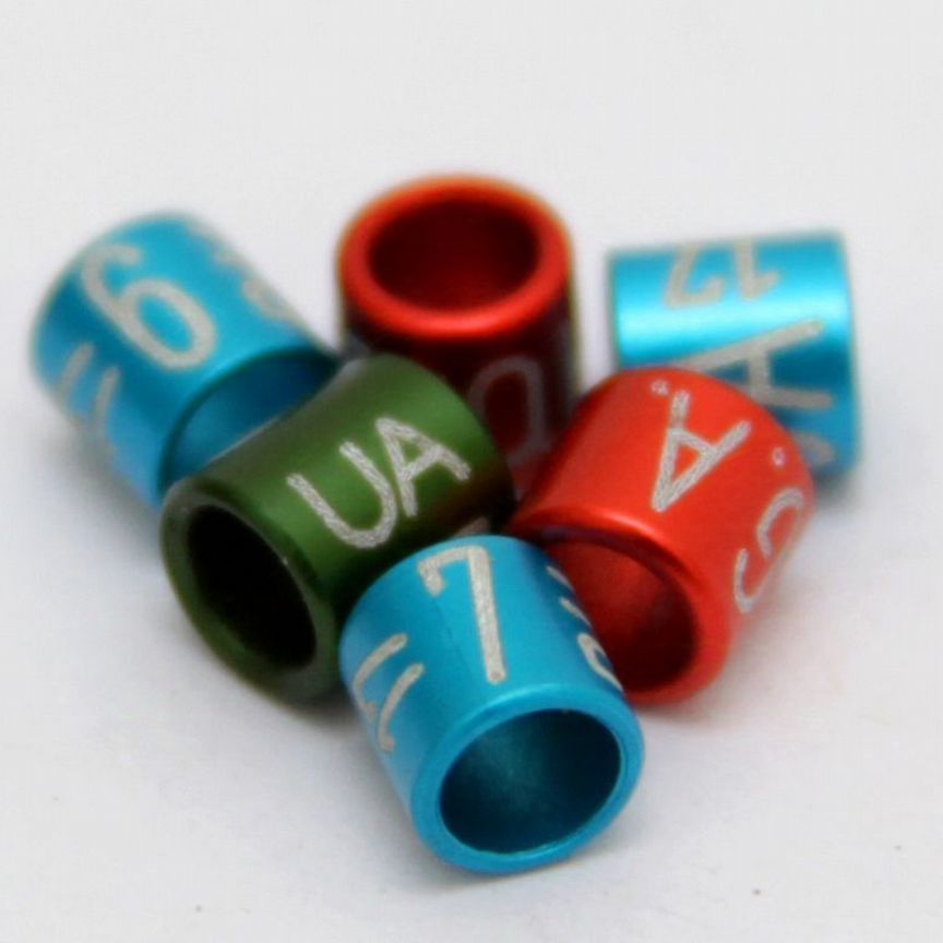 Персональное колечко канарейки амадин волнушки