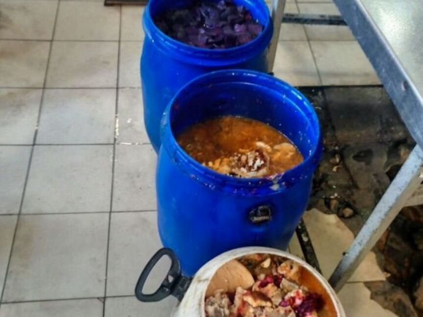 Пищевые отходы