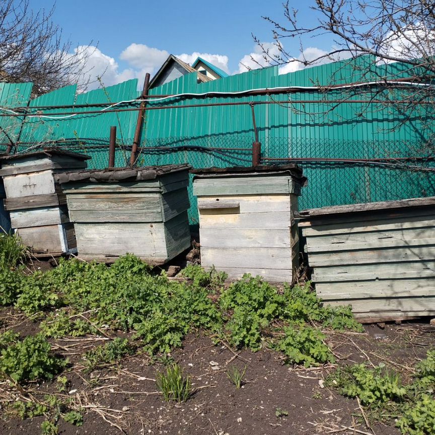 Продам ульи для пчел 20шт