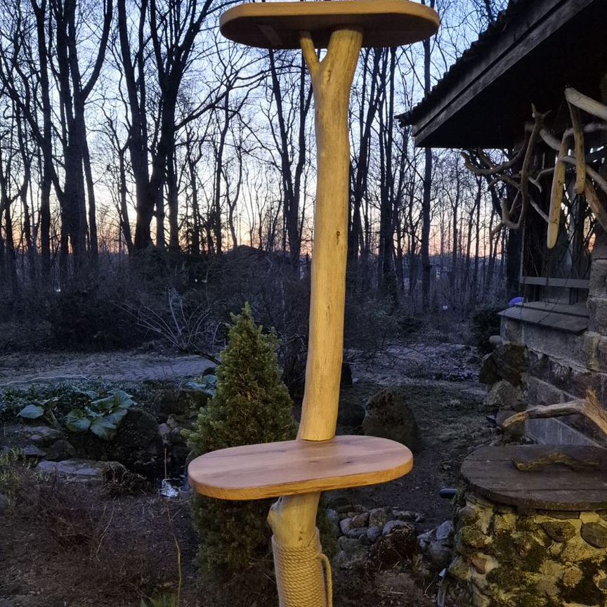 Дерево для кота когтеточка игровой комплекс