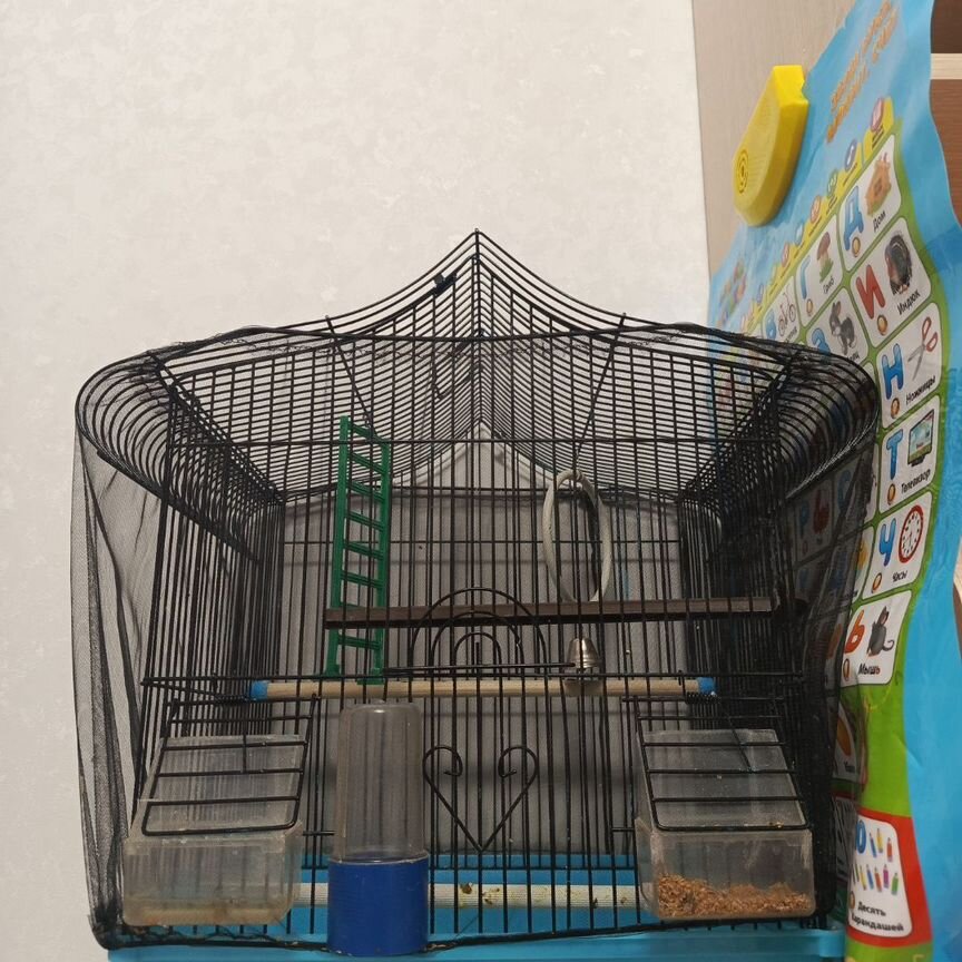 Клетка для попугая