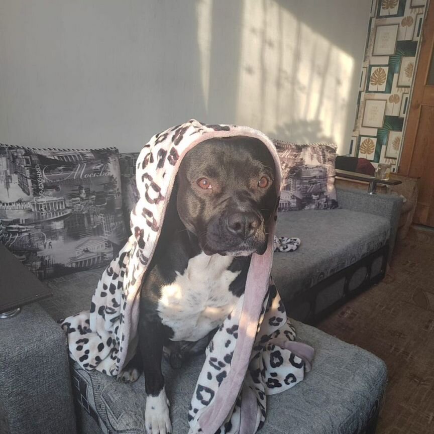 Красавчик мужчина