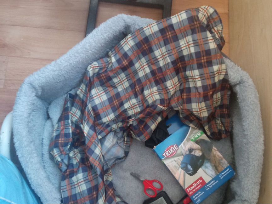 Лежанка, намордник, миски с подставкой, ножницы