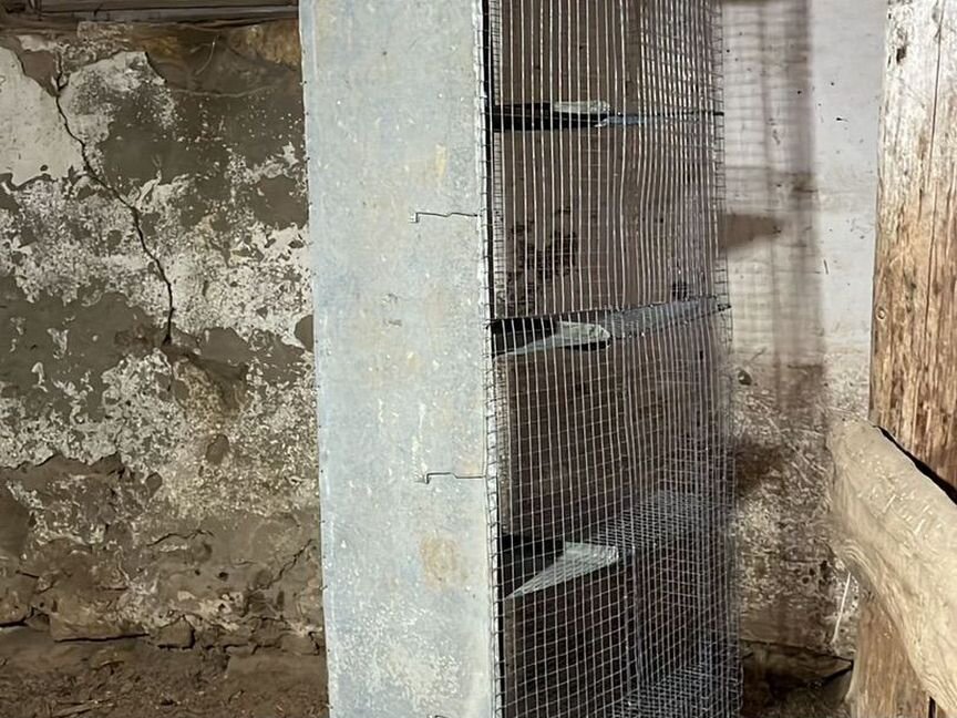 Клетки для кроликов маточник