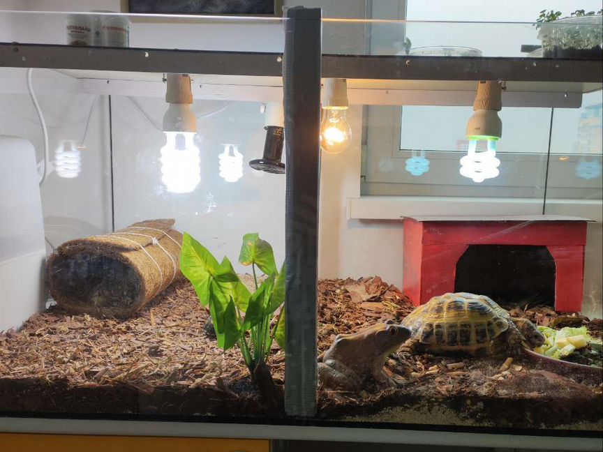 Террариум для черепахи