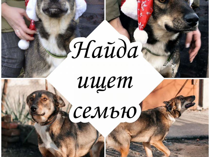 Охрана ищет семью
