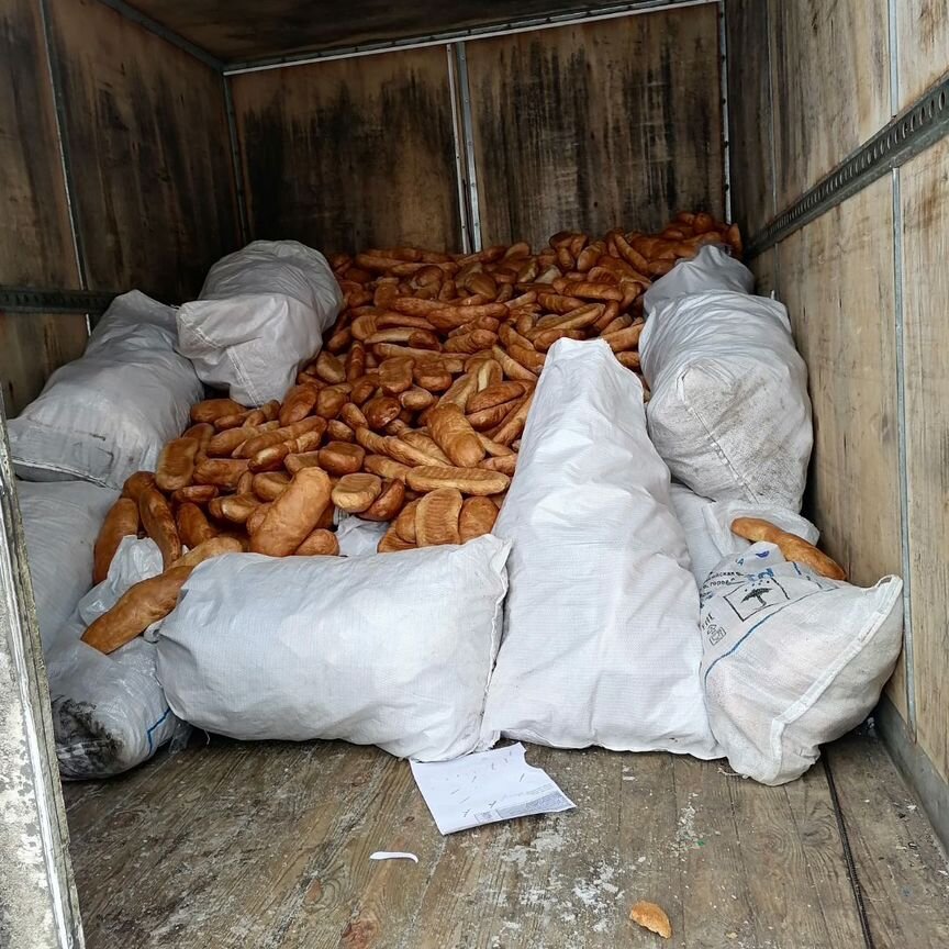 Хлеб для животных