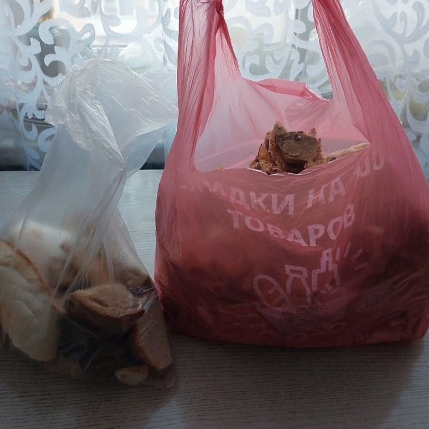 Пищевые отходы для собаки (бесплатно)