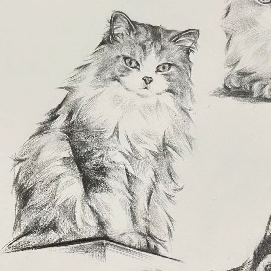 Рисую ваших питомцев