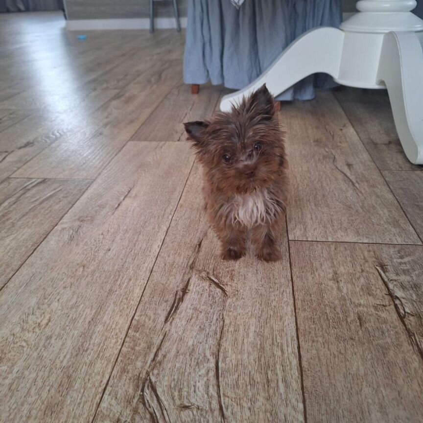 Миленькая девочка