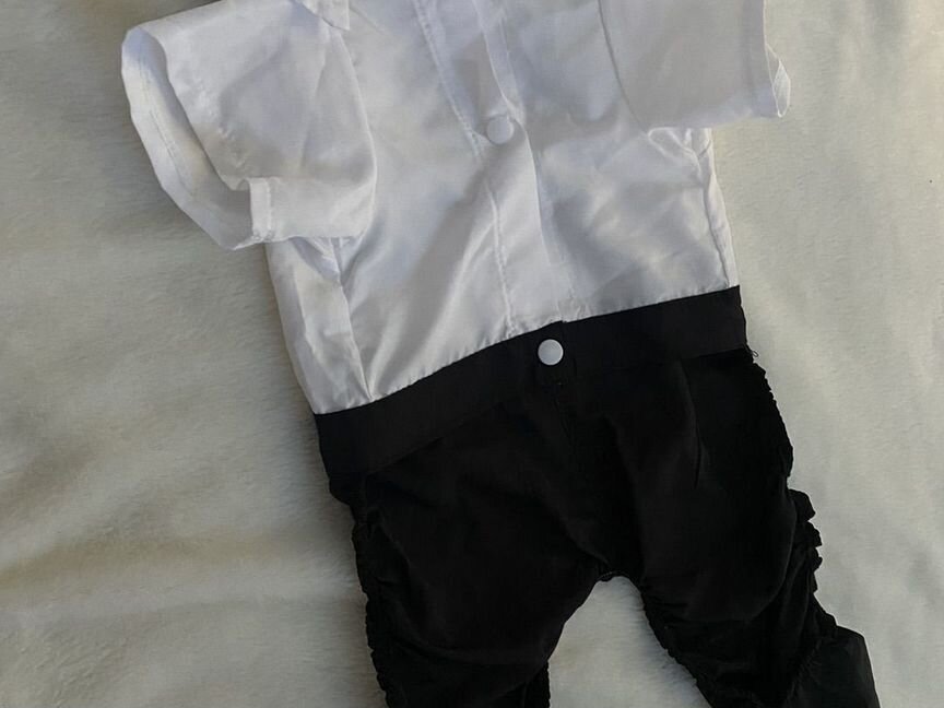 Смокинг для животных