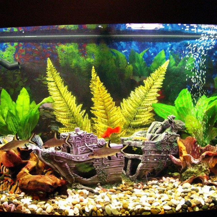 Отдам аквариум 20л Бронь