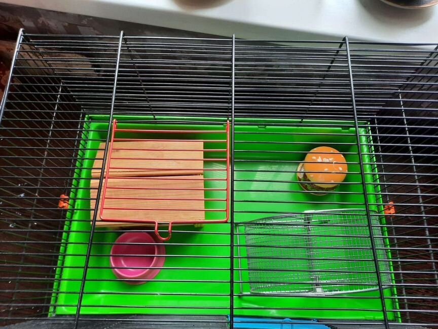 Клетка для грызунов бу