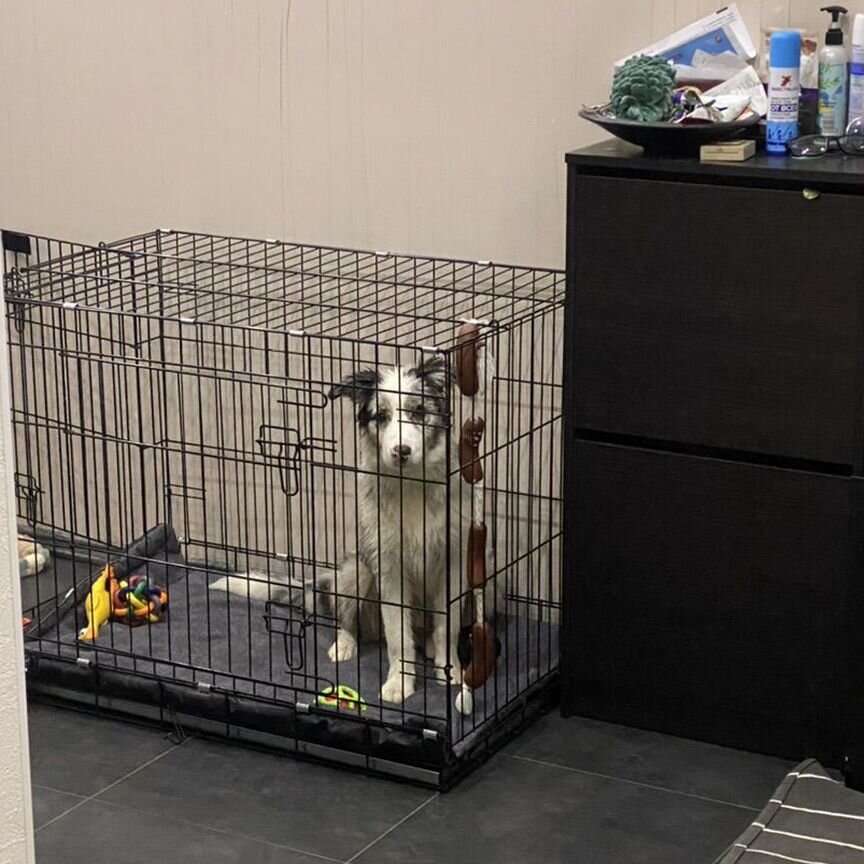 Клетка для собак усиленная 90х60х60