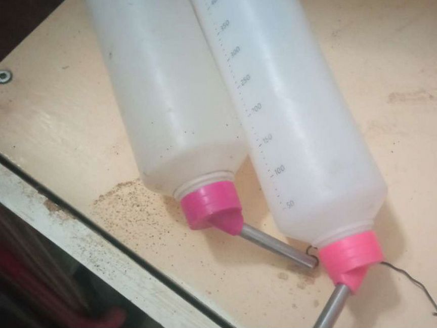 Поилка 450мл и лоток угловой для животных