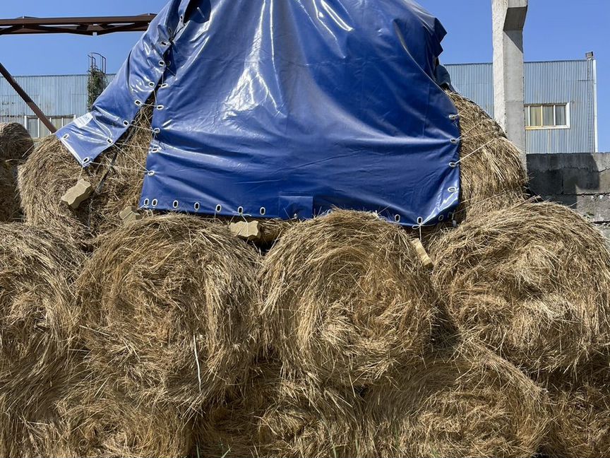 Сено луговое в тюках рулонах