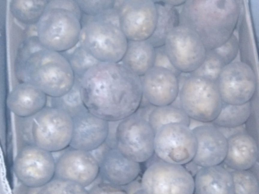 Картофель,свёкла