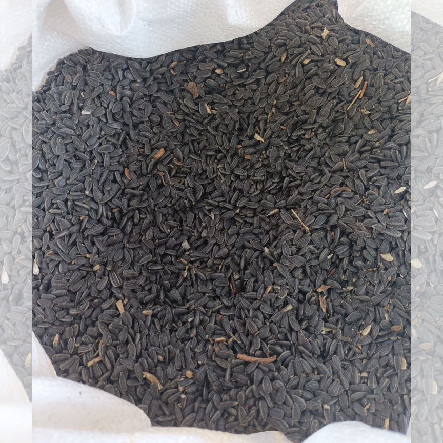 Семечки подсолнечника