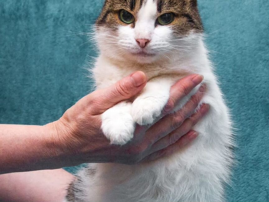 Таких как Фёдор не замечают