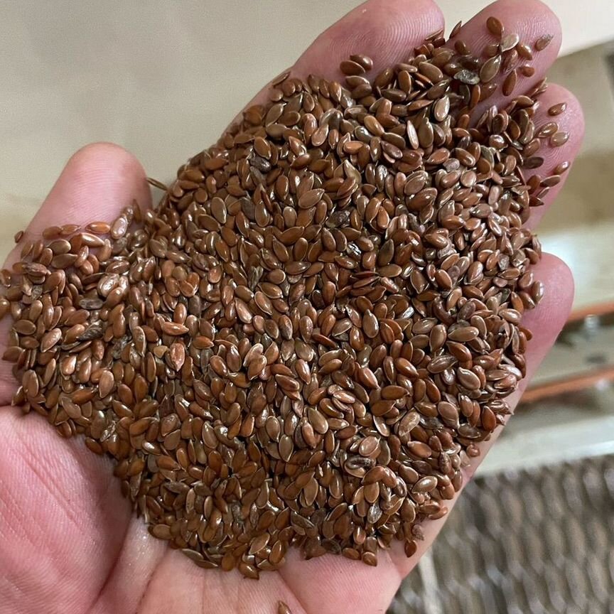 Кориандр,горох,лен,просо,чечевица,овес