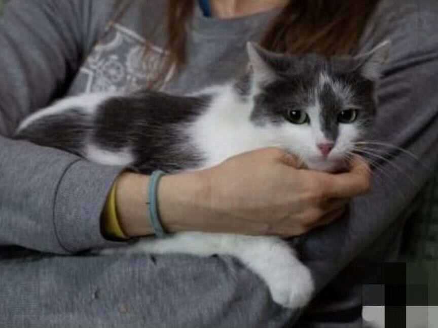 Юкки всё ещё надеется обрести дом и семью