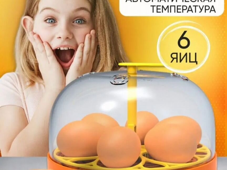 Инкубатор