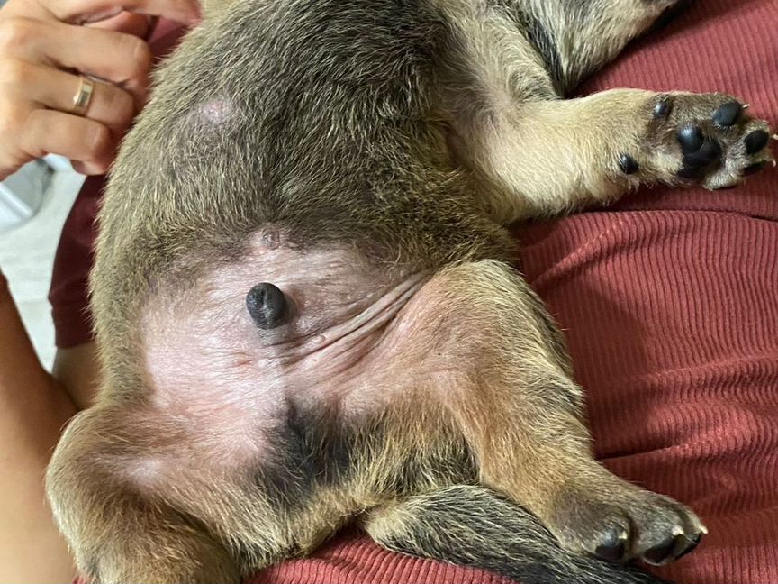 Ну возьмите нас