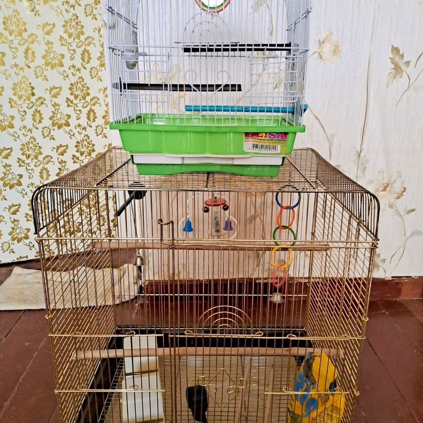 Клетка для волнистого попугая бу