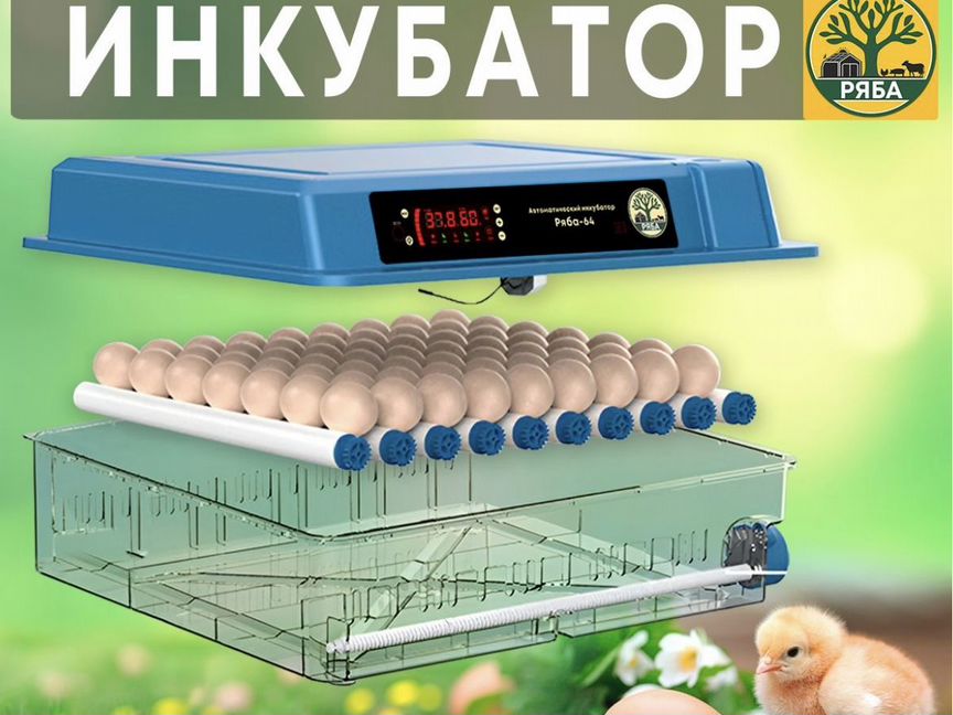 Инкубатор Ряба 64