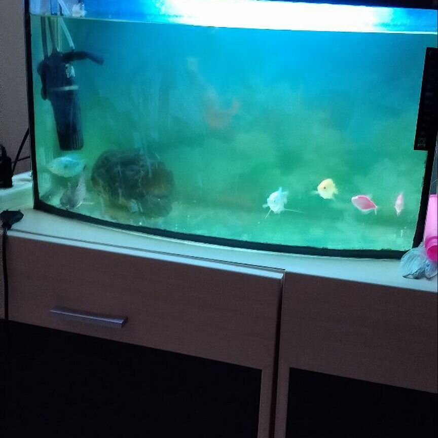 Аквариум