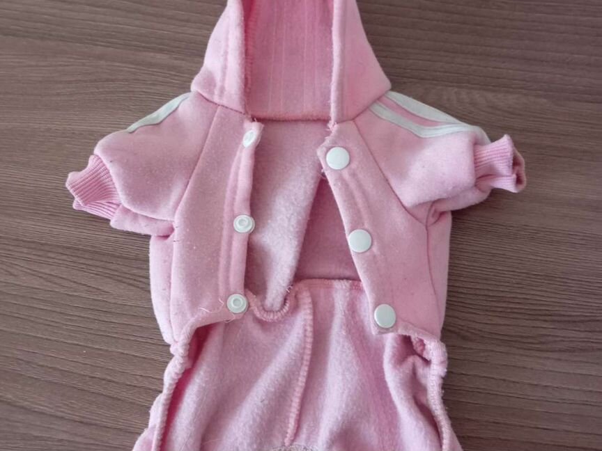 Одежда для кошек и собак