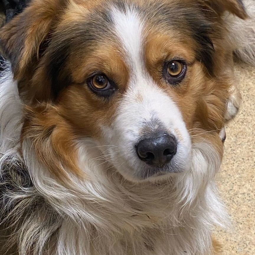 Мальчик ищет дом