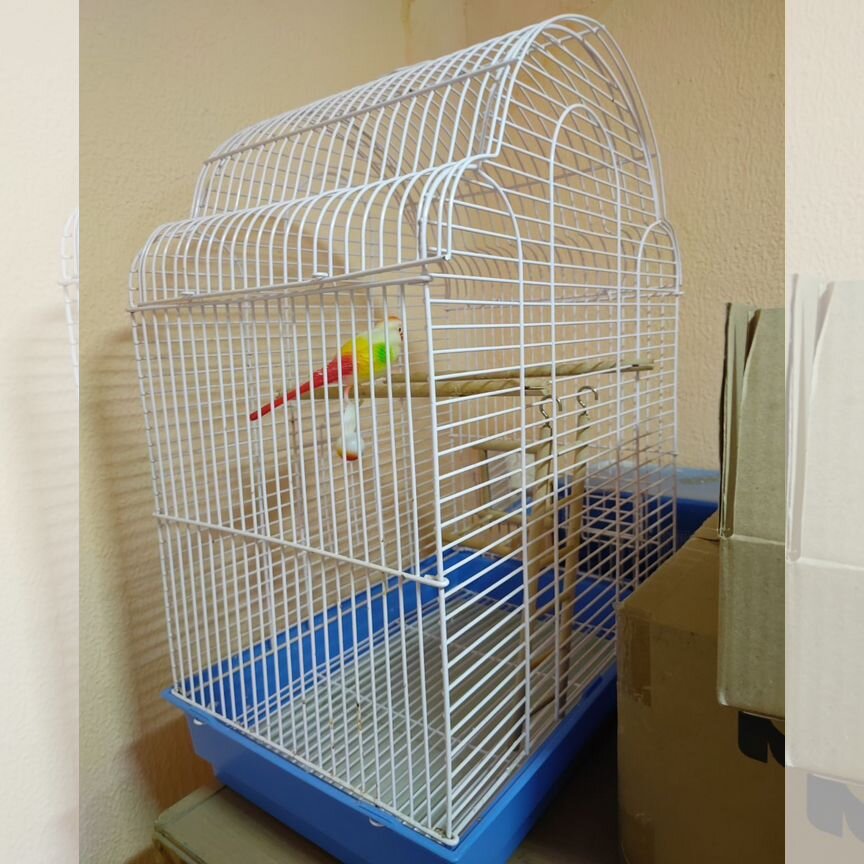 Клетка для попугая