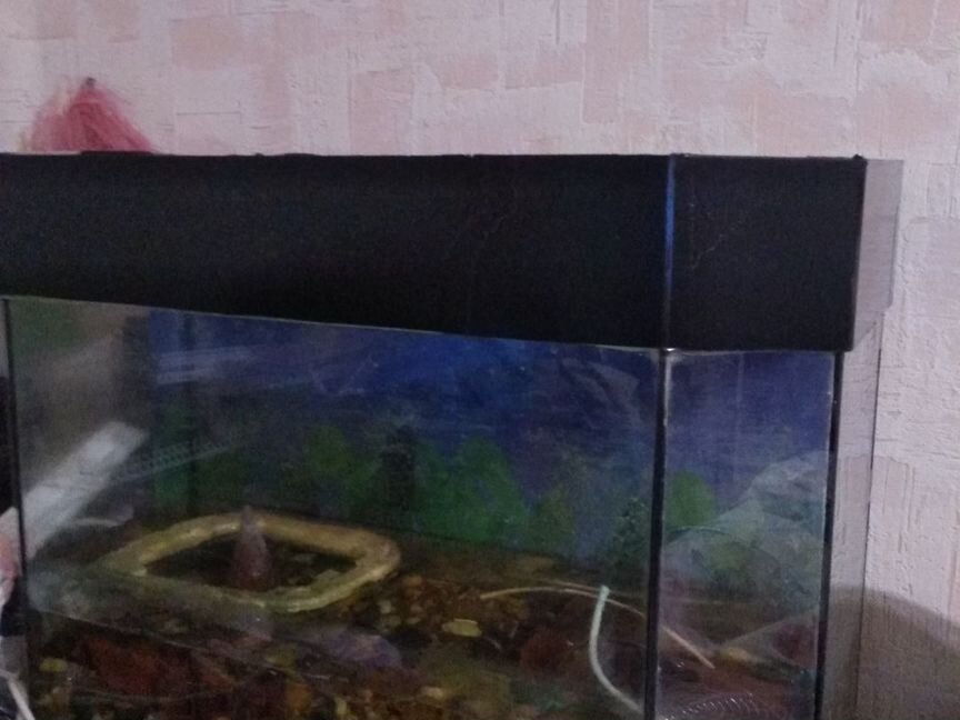 Аквариум