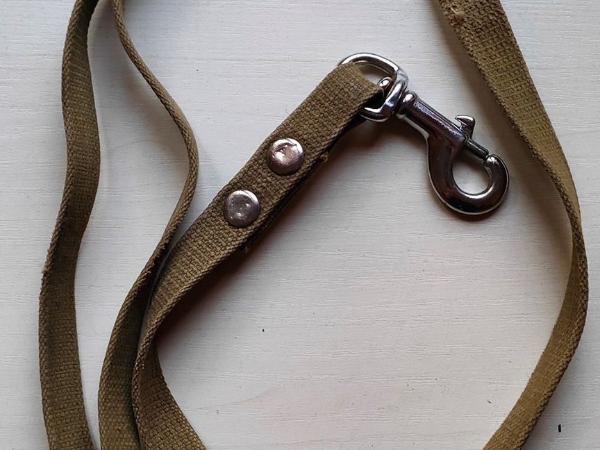 Поводки для собак