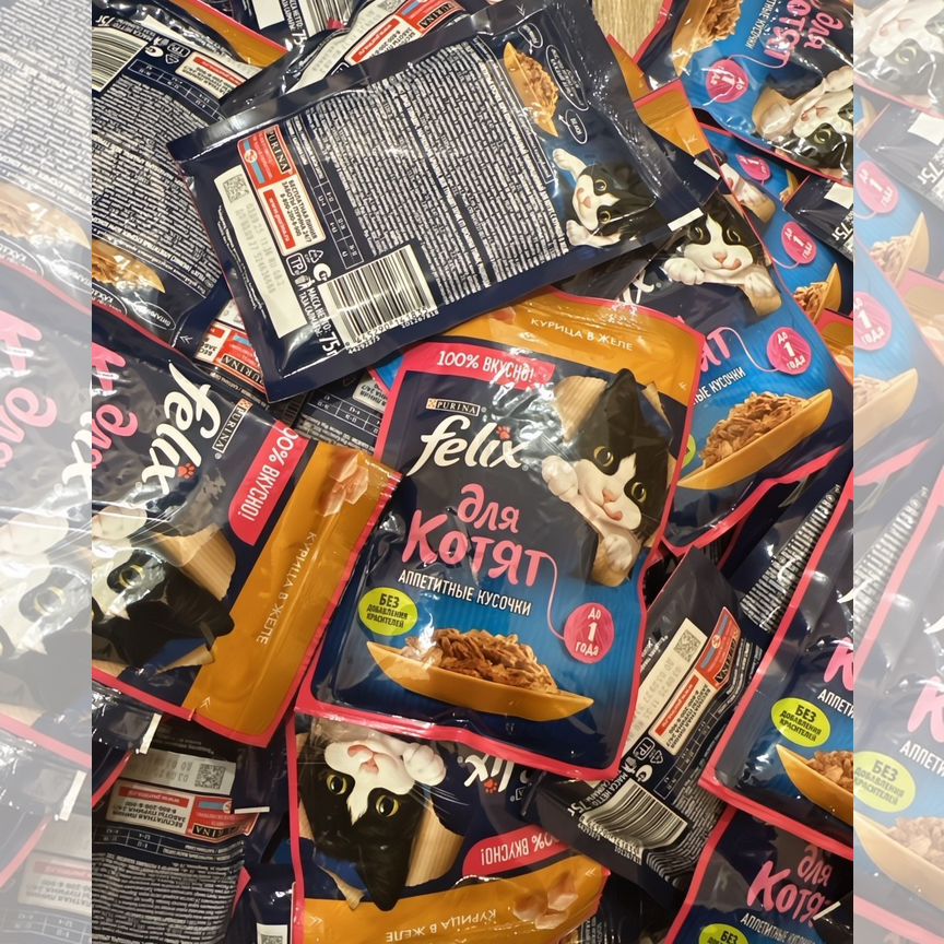 Влажный корм для котят felix феликс курица