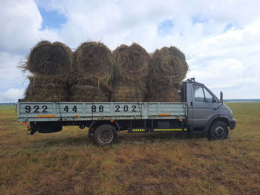 Сено в рулонах 2022