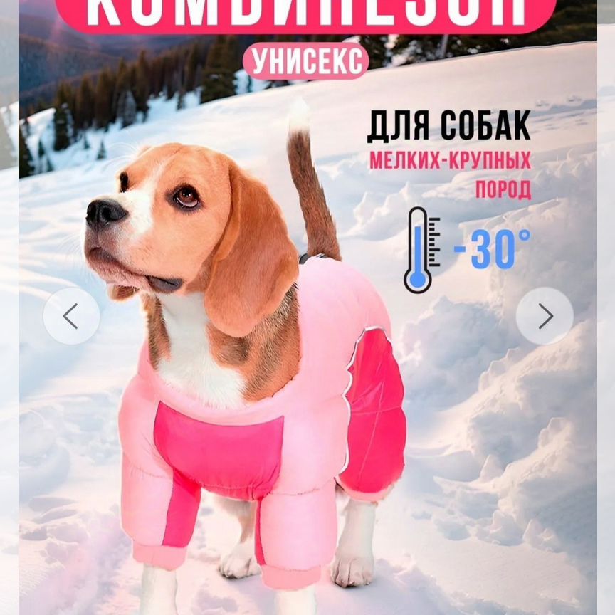 Комбинезон для средней собаки