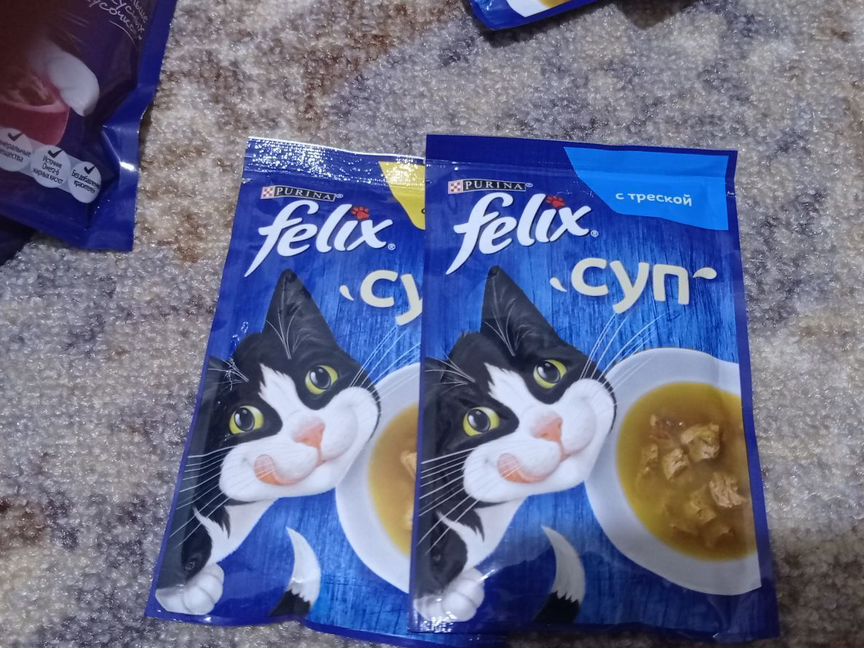 Кошачий корм влажный