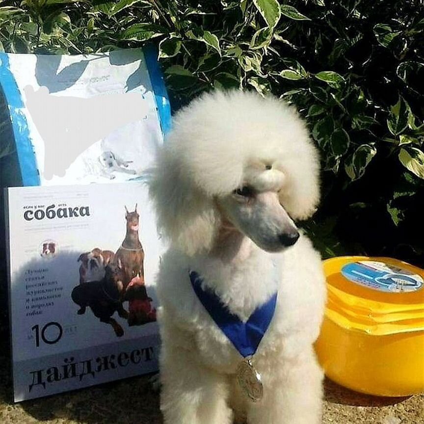 Мальчик с документами РКФ