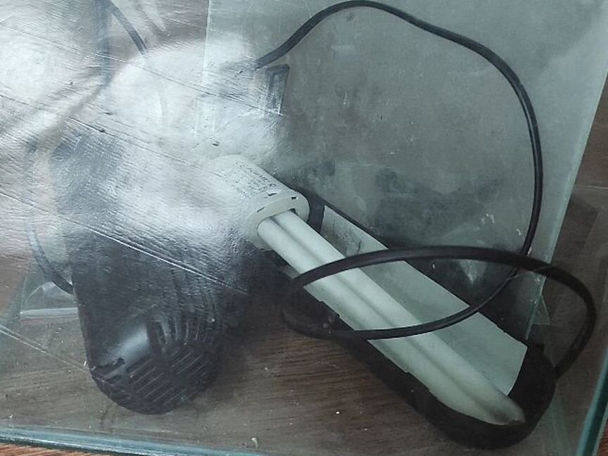 Криветочник/ аквариум