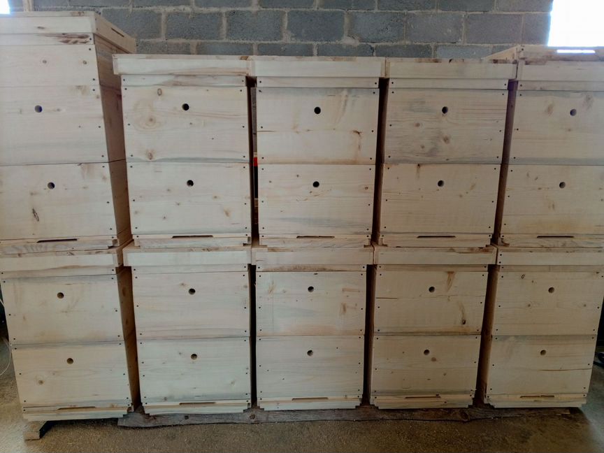 Даданы для пчел